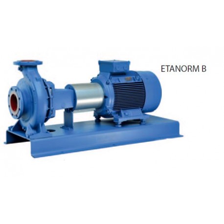 Single-stage end-suction centrifugal pump on baseplate – Technical ...