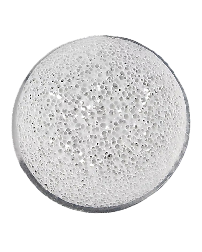 Biomedia Mutag BioChip – Soporte biológico de alto rendimiento para ...