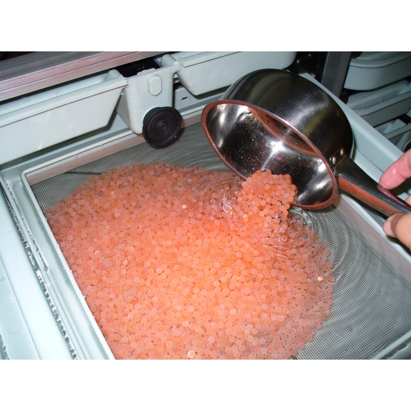 Vertical Aquaculture Incubator – Efficient and Space-Saving Fish Egg ...