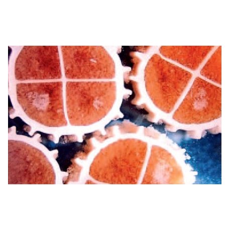 Technologie ANOXKALDNES MBBR™